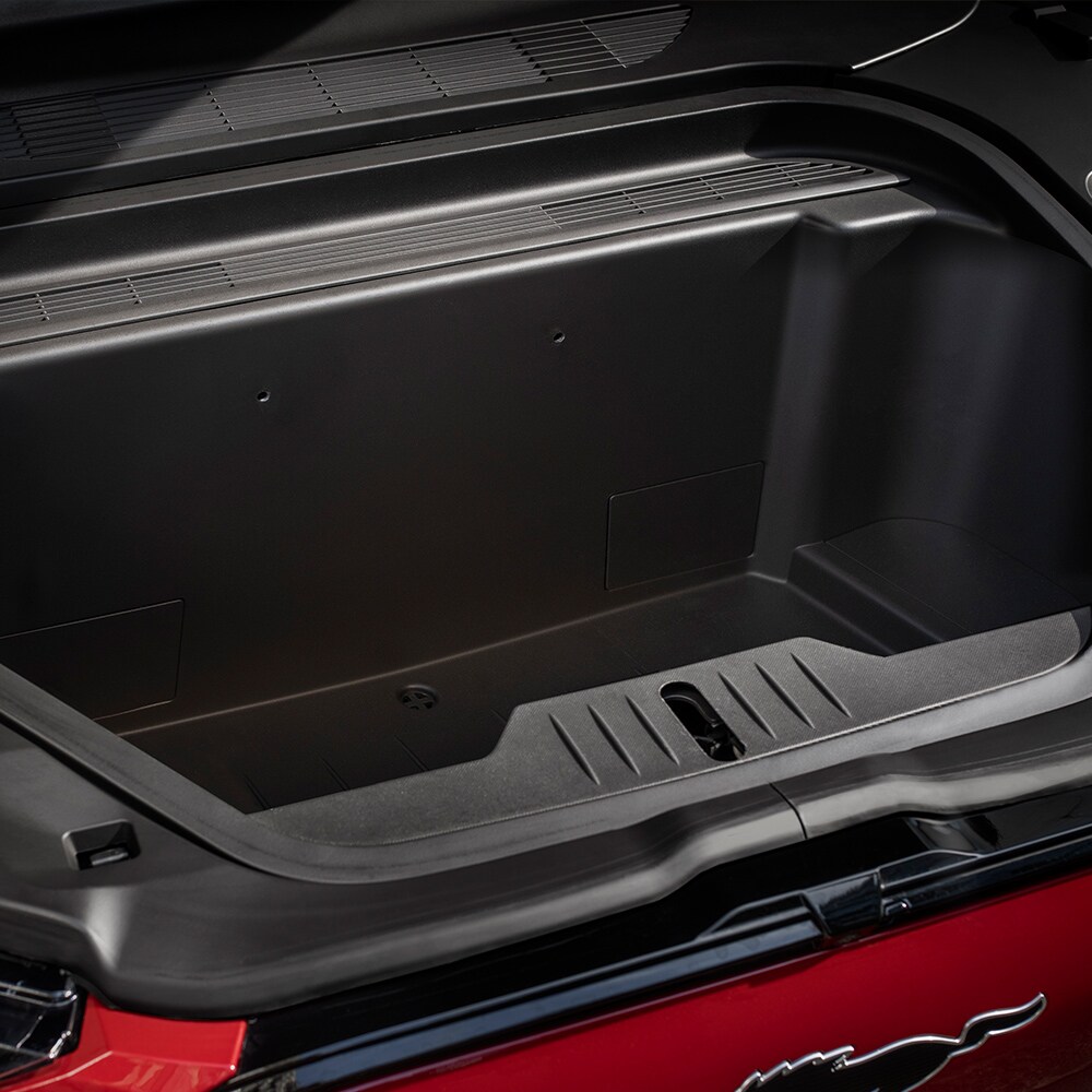 Ford Mustang Mach-E RWD | Ford FI